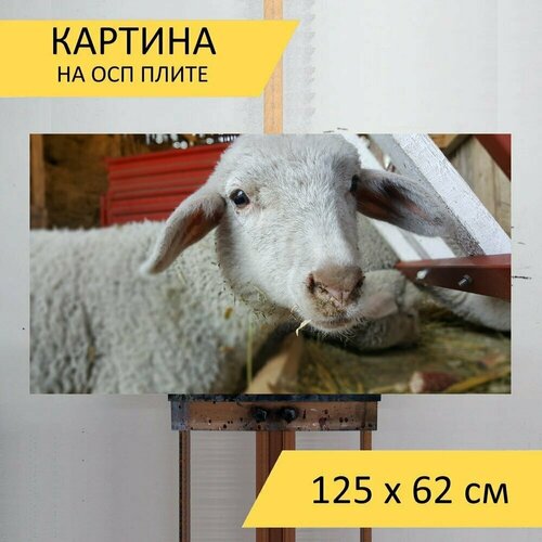 Картина на ОСП 125х62 см. "Ягненок, овец, ферма" горизонтальная, для интерьера, с креплениями
