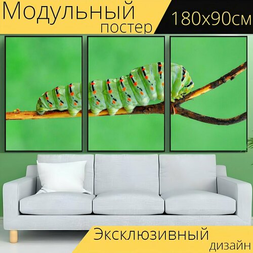 Модульный постер "Счастливый, бабочка, гусеница" 180 x 90 см. для интерьера