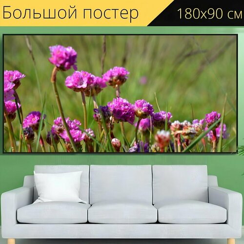 Большой постер "Трава гвоздики, подушки кустарник, розовый" 180 x 90 см. для интерьера