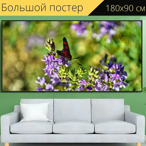 Большой постер "Бабочка, насекомые, цветок" 180 x 90 см. для интерьера