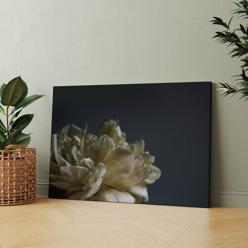 Картина на холсте (Белый пион, цветы) 22 32 см/для интерьера/на стену/в комнату/в подарок