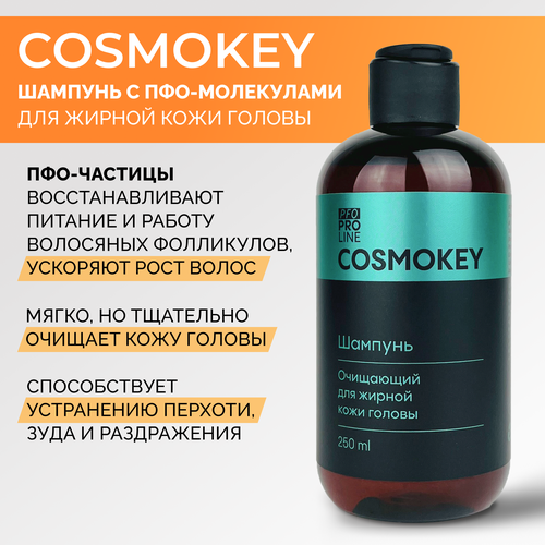 Cosmokey / Космокей Шампунь очищающий для жирной кожи головы, против перхоти и зуда, 250 мл