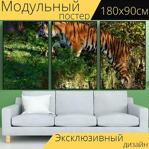 Модульный постер "Тигр, хищник, прыгнуть" 180 x 90 см. для интерьера