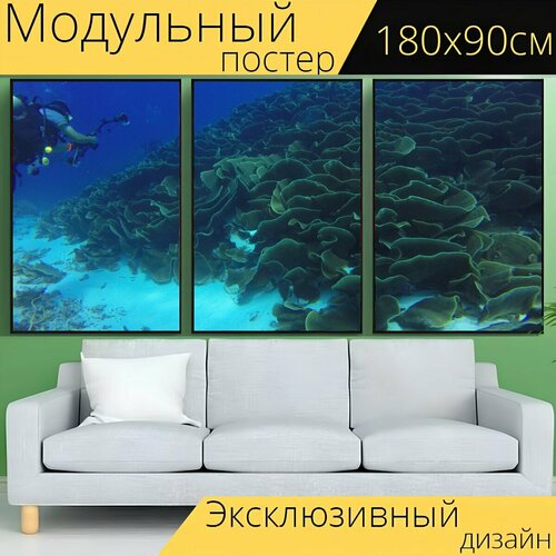 Модульный постер "Улонг канал, коралл, капуста коралл" 180 x 90 см. для интерьера