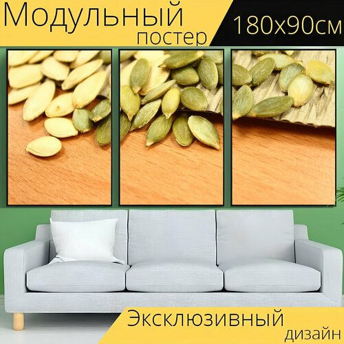 Модульный постер "Семена тыквы, семя, овощ" 180 x 90 см. для интерьера