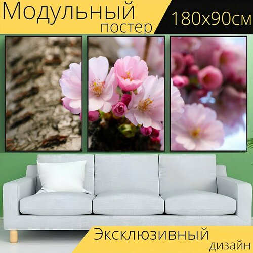 Модульный постер "Весна, дерево, расцветает" 180 x 90 см. для интерьера