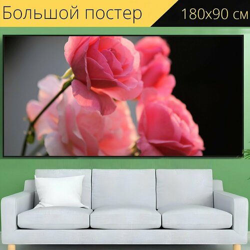 Большой постер "Розовые розы папийон, розы, цветы" 180 x 90 см. для интерьера