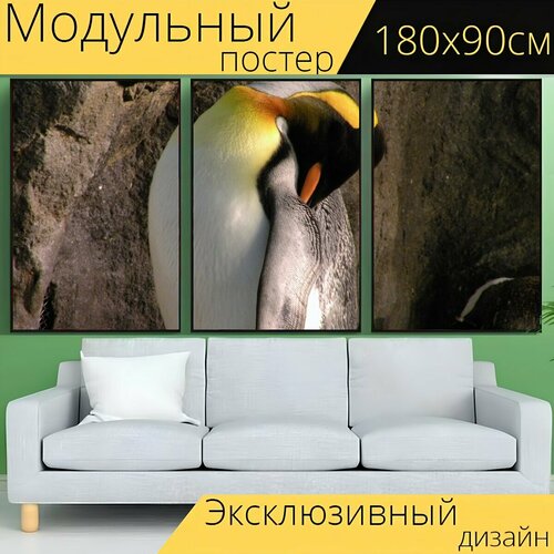 Модульный постер "Императорский пингвин, зоопарк, арктический" 180 x 90 см. для интерьера