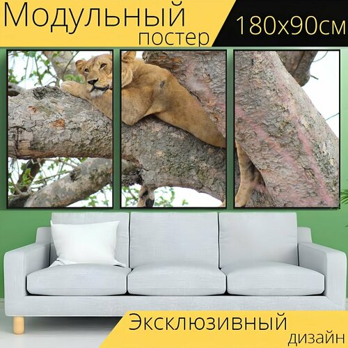 Модульный постер "Ишаша, лев, лазание по деревьям" 180 x 90 см. для интерьера