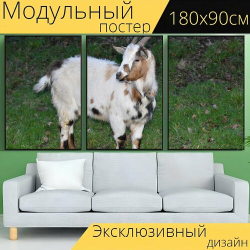 Модульный постер "Коза, козел, молодая коза" 180 x 90 см. для интерьера