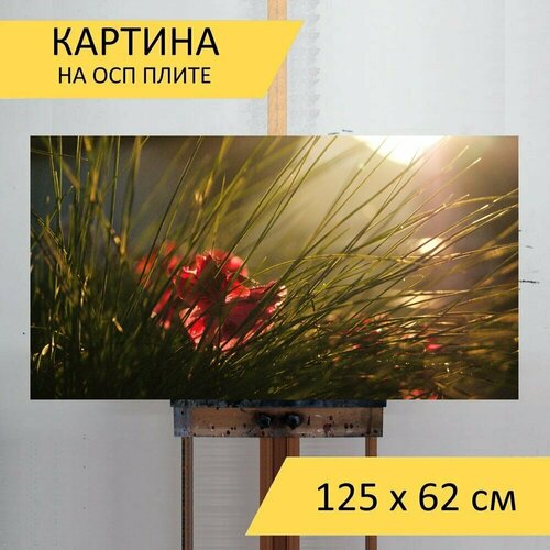 Картина на ОСП 125х62 см. "Цветы, солнце, летом" горизонтальная, для интерьера, с креплениями