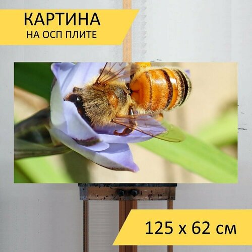 Картина на ОСП 125х62 см. "Пчела, насекомое, цветочная пыльца" горизонтальная, для интерьера, с креплениями