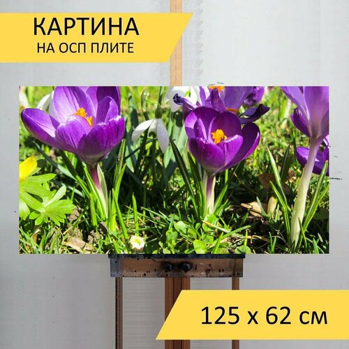 Картина на ОСП 125х62 см. "Природа, цветок, крокус" горизонтальная, для интерьера, с креплениями