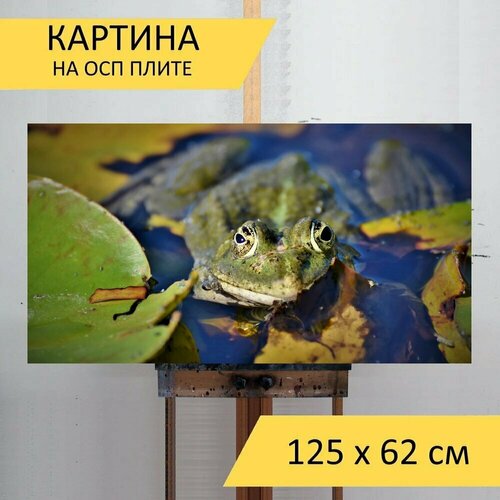 Картина на ОСП 125х62 см. "Лягушка, жаба, амфибии" горизонтальная, для интерьера, с креплениями