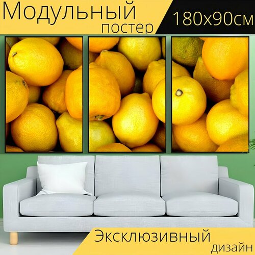 Модульный постер "Тропические фрукты, лимон, здоровый" 180 x 90 см. для интерьера