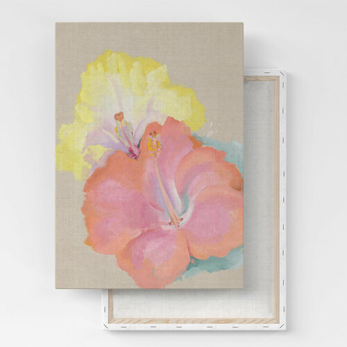 Картина на холсте, репродукция / ОКифф Джорджия - Hibiscus / Размер 30 x 40 см
