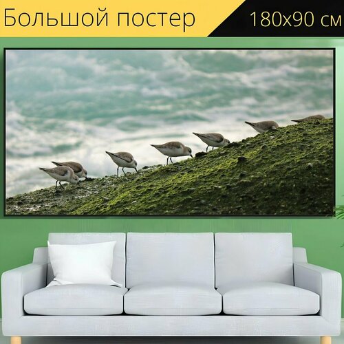 Большой постер "Морских птиц, океан, море" 180 x 90 см. для интерьера