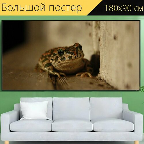 Большой постер "Лягушка, жаба, амфибия" 180 x 90 см. для интерьера
