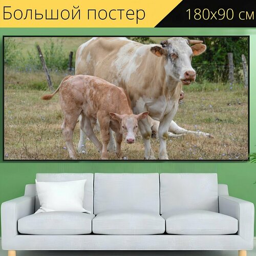 Большой постер "Корова, сельское хозяйство, ферма" 180 x 90 см. для интерьера