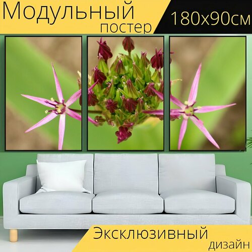 Модульный постер "Чеснок декоративный, цветок чеснока, весна" 180 x 90 см. для интерьера