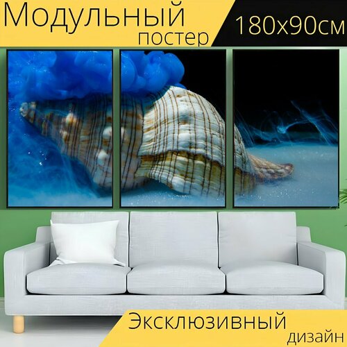 Модульный постер "Оболочка, подводный, морская ракушка" 180 x 90 см. для интерьера