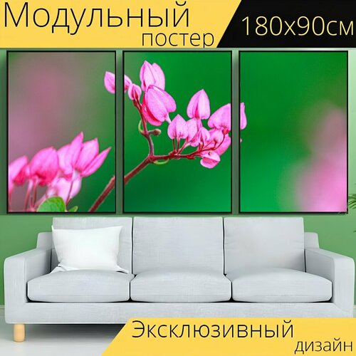 Модульный постер "Цветок, сад, цвести" 180 x 90 см. для интерьера