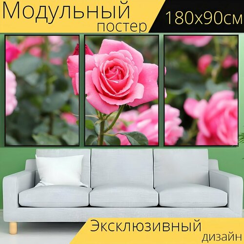 Модульный постер "Роза, цветок, любовь" 180 x 90 см. для интерьера