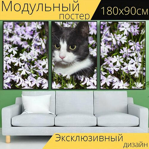 Модульный постер "Кот, домашняя кошка, цветок" 180 x 90 см. для интерьера