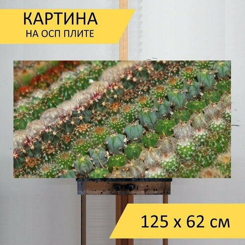 Картина на ОСП 125х62 см. "Кактусы, ужалить, кактус" горизонтальная, для интерьера, с креплениями