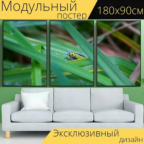 Модульный постер "Мелкое насекомое, красочные, нежный" 180 x 90 см. для интерьера