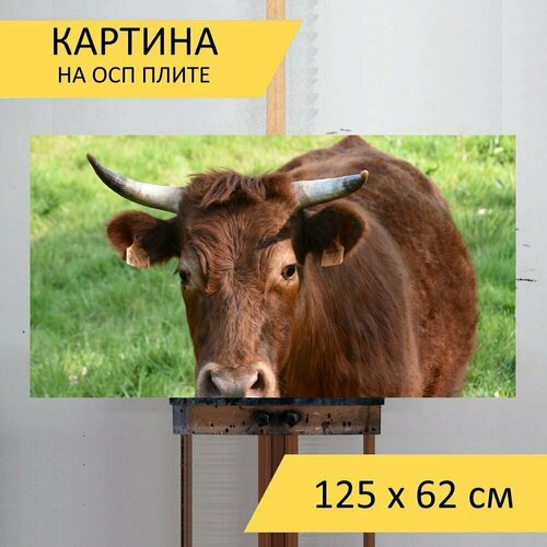 Картина на ОСП 125х62 см. "Корова, рога белые, коричневая корова" горизонтальная, для интерьера, с креплениями