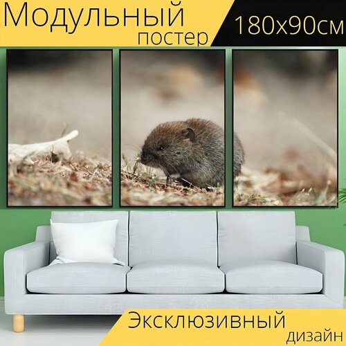 Модульный постер "Мышь, полевая мышь, милый" 180 x 90 см. для интерьера