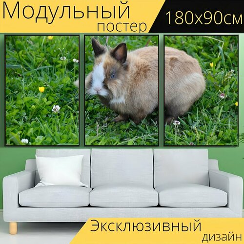 Модульный постер "Кролик, кролик голубые глаза, симпатичные" 180 x 90 см. для интерьера