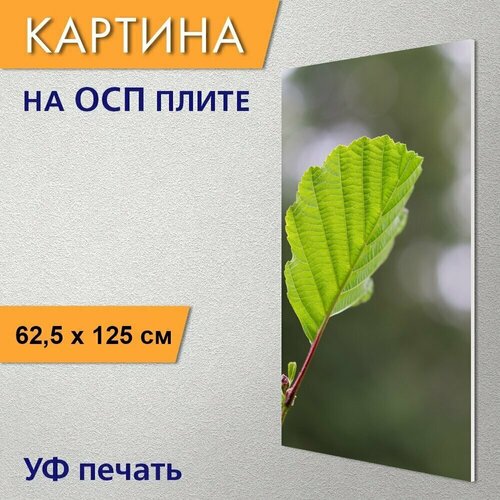 Вертикальная картина на ОСП "Лист, природа, зеленый" 62x125 см. для интерьериа