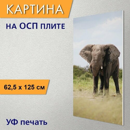 Вертикальная картина на ОСП "Слон, этоша пан, намибия" 62x125 см. для интерьериа