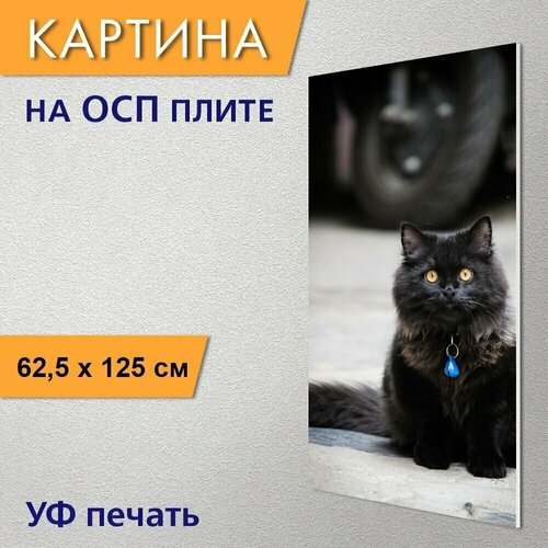 Вертикальная картина на ОСП "Персидский котенок, кошка, персидский" 62x125 см. для интерьериа