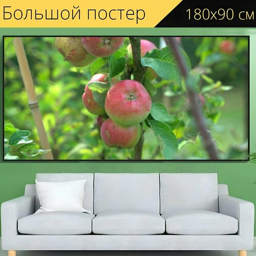 Большой постер "Яблоко, дерево, фрукты" 180 x 90 см. для интерьера