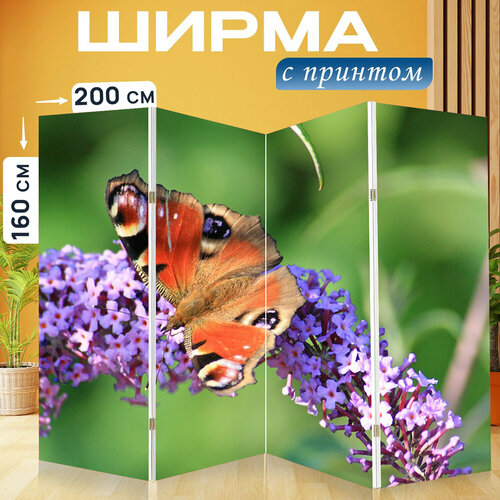 Ширма перегородка с принтом "Бабочка, цветок, флора" на холсте - 200x160 см. для зонирования, раскладная