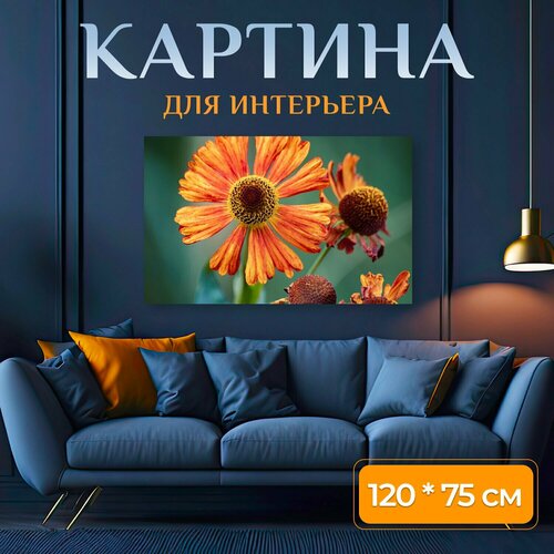 Картина на холсте "Солнце невеста, цветок, лепестки" на подрамнике 120х75 см. для интерьера
