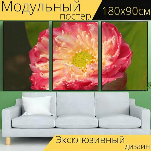 Модульный постер "Цвести, цветок, экзотика" 180 x 90 см. для интерьера