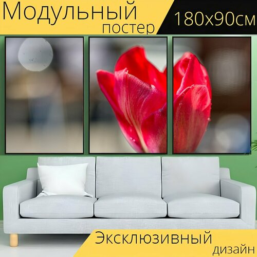 Модульный постер "Тюльпан, цветок, цвести" 180 x 90 см. для интерьера