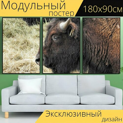 Модульный постер "Зубр, животное, млекопитающее" 180 x 90 см. для интерьера