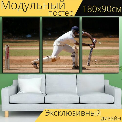 Модульный постер "Крикет, игрок в крикет, ватин" 180 x 90 см. для интерьера