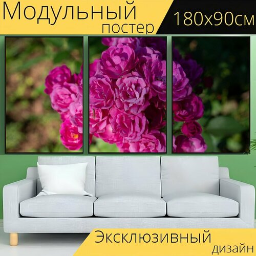 Модульный постер "Садовые розы, цветы, завод" 180 x 90 см. для интерьера