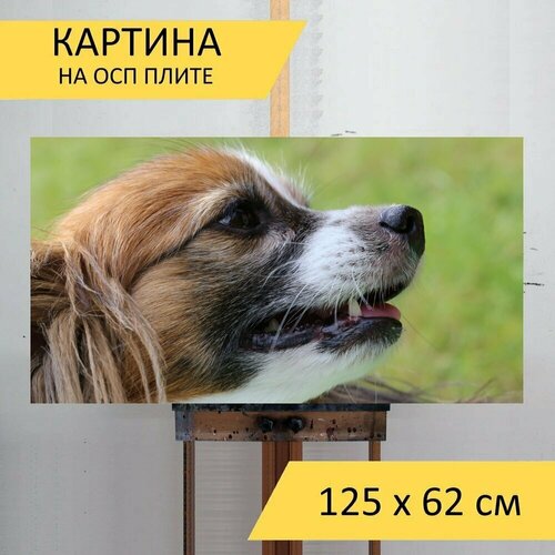 Картина на ОСП 125х62 см. "Собака, папильон, домашний питомец" горизонтальная, для интерьера, с креплениями