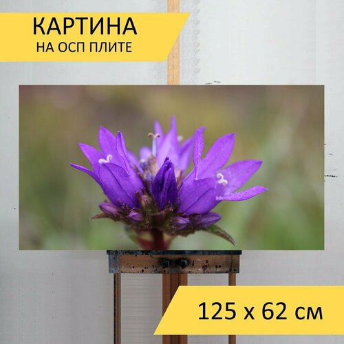 Картина на ОСП 125х62 см. "Цветок, фиолетовый цветок, блум" горизонтальная, для интерьера, с креплениями