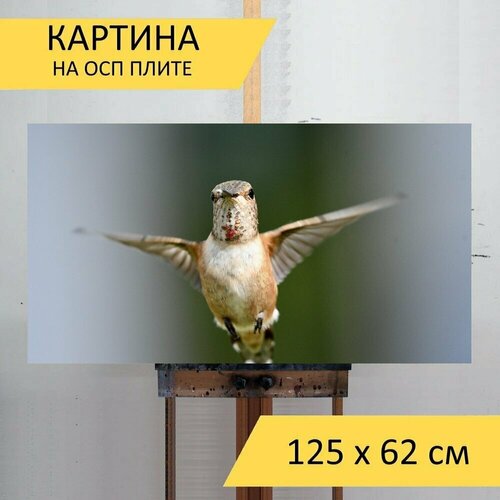 Картина на ОСП 125х62 см. "Самка рыжего колибри, полет, колибри" горизонтальная, для интерьера, с креплениями