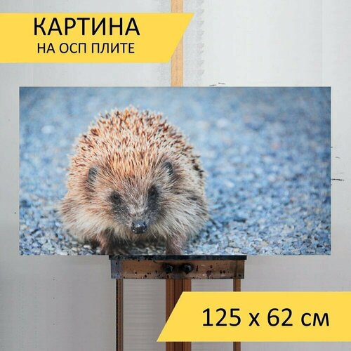 Картина на ОСП 125х62 см. "Еж, животное, колючий" горизонтальная, для интерьера, с креплениями