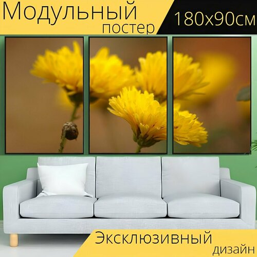 Модульный постер "Желтые цветы, хризантемы, осенний" 180 x 90 см. для интерьера