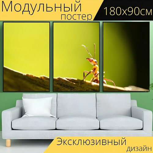Модульный постер "Красный лесной муравей, насекомое, муравей" 180 x 90 см. для интерьера